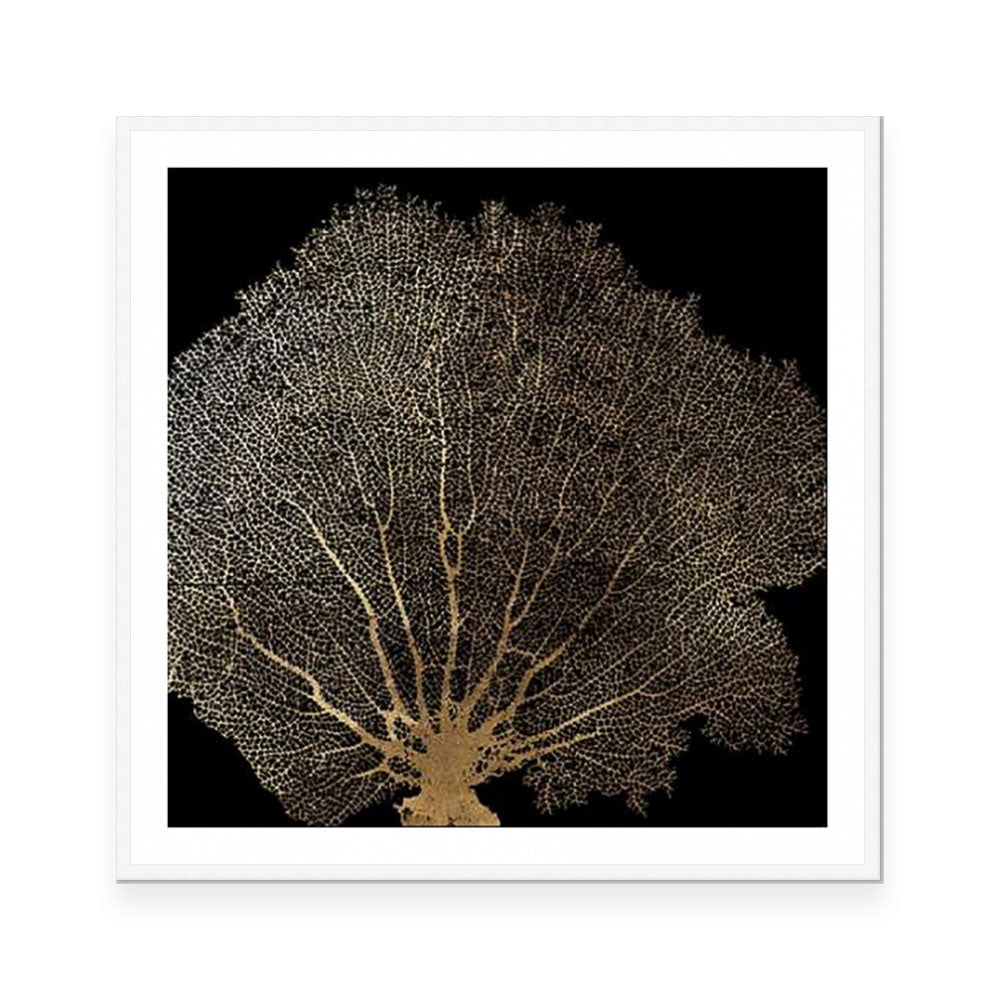 Honey Comb Coral II – Art and Framing Co