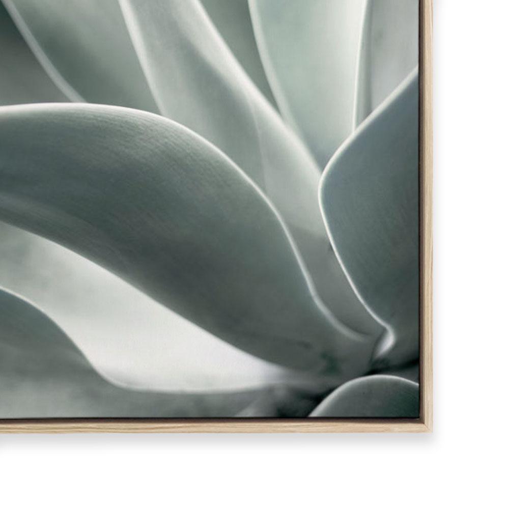 Agave I – Art and Framing Co