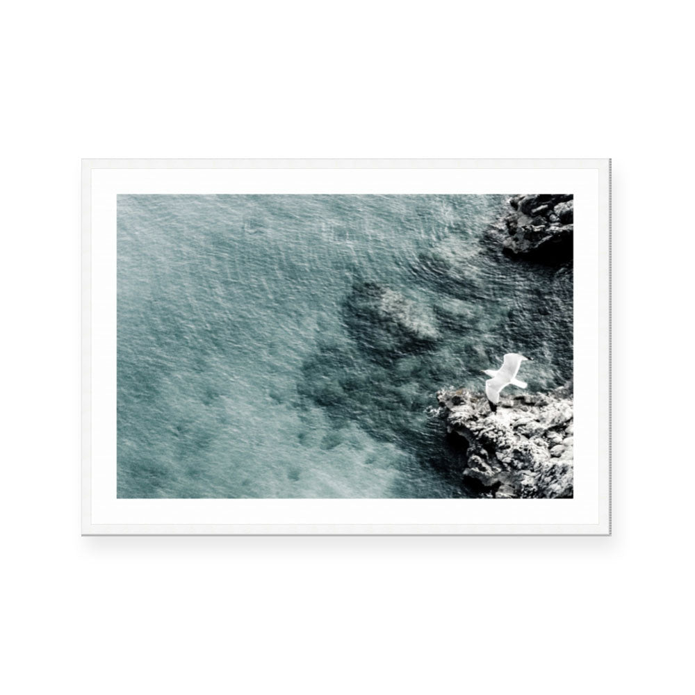 Bird's Eye View – Art and Framing Co