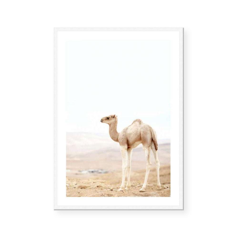 Caramel Camel III – Art and Framing Co