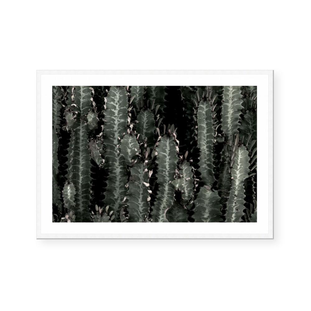 Dark Cacti | Landscape – Art and Framing Co