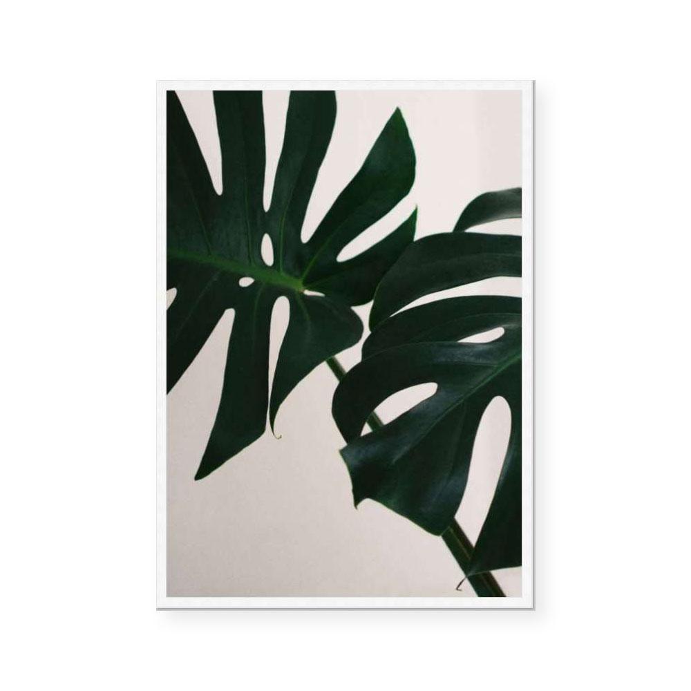 Emerald Monstera – Art and Framing Co