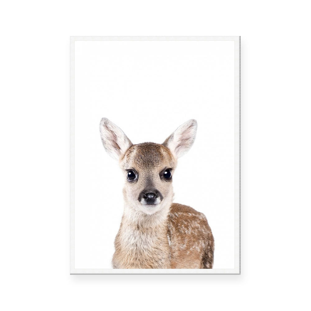 Fawn | Portrait – Art and Framing Co
