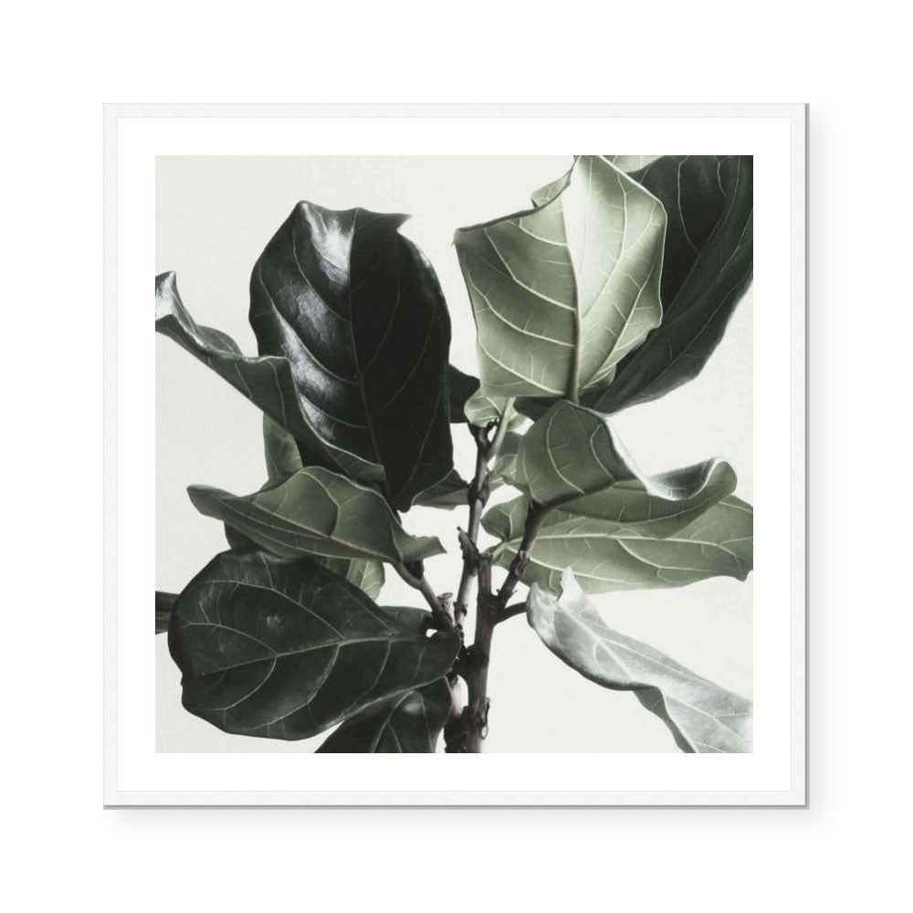 Fiddle Sticks – Art and Framing Co