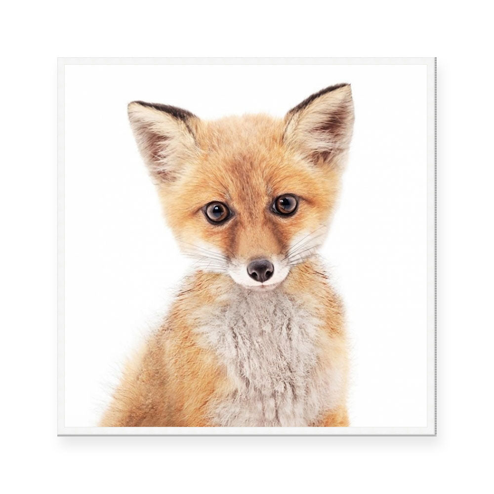 Fox | Square – Art and Framing Co