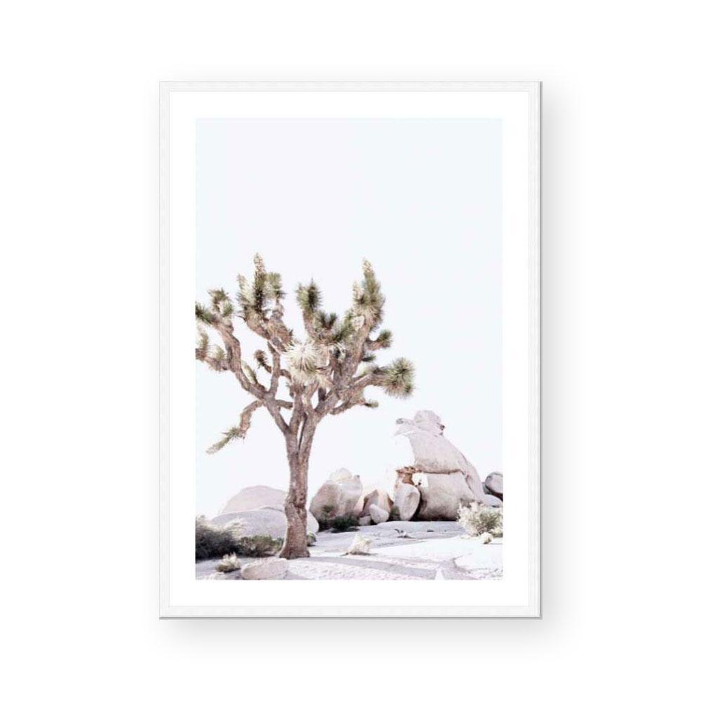 Joshua Tree I – Art and Framing Co