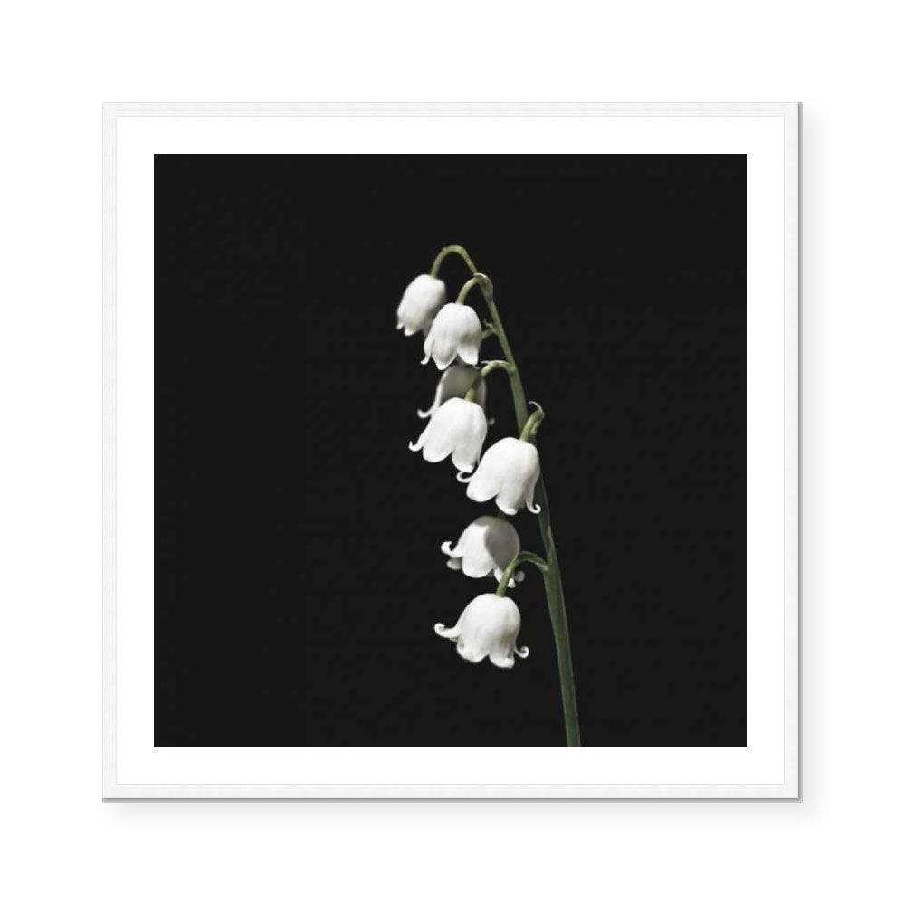 Lilly Bells III – The Art And Framing Company