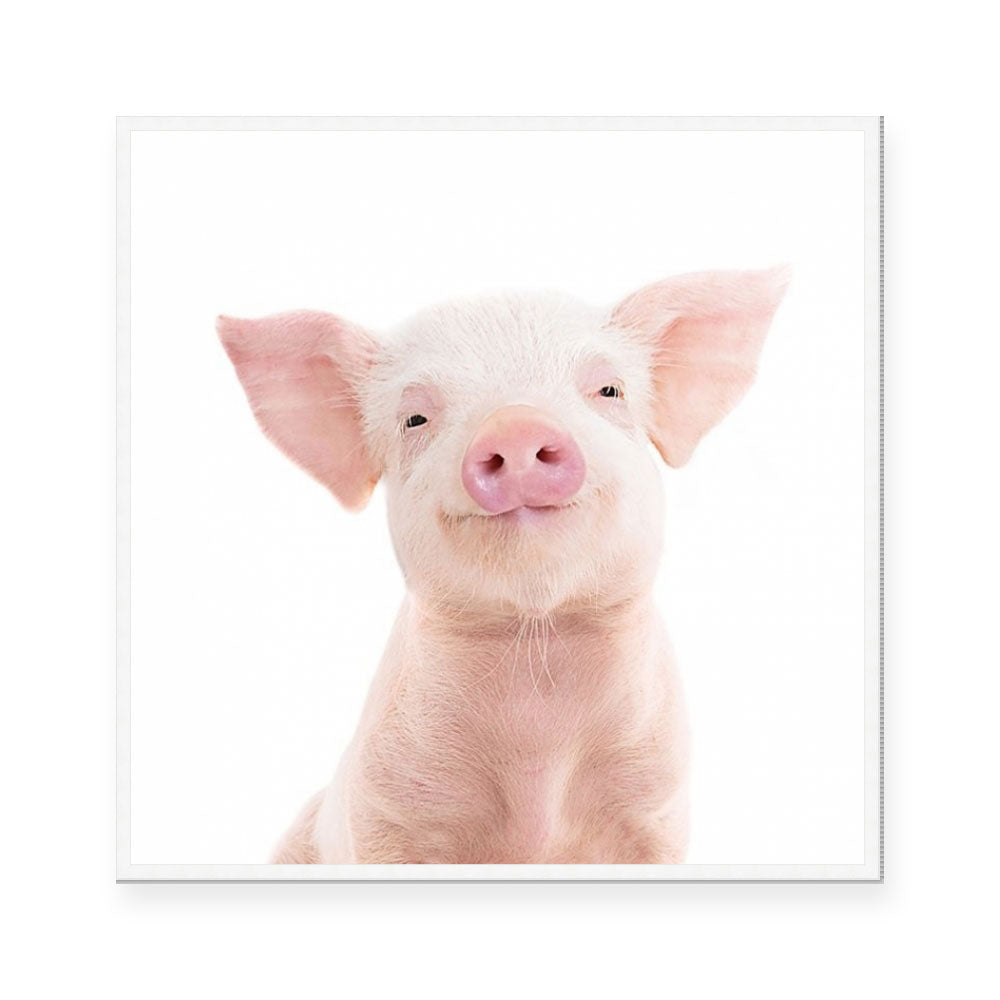 Piglet | Square – Art and Framing Co